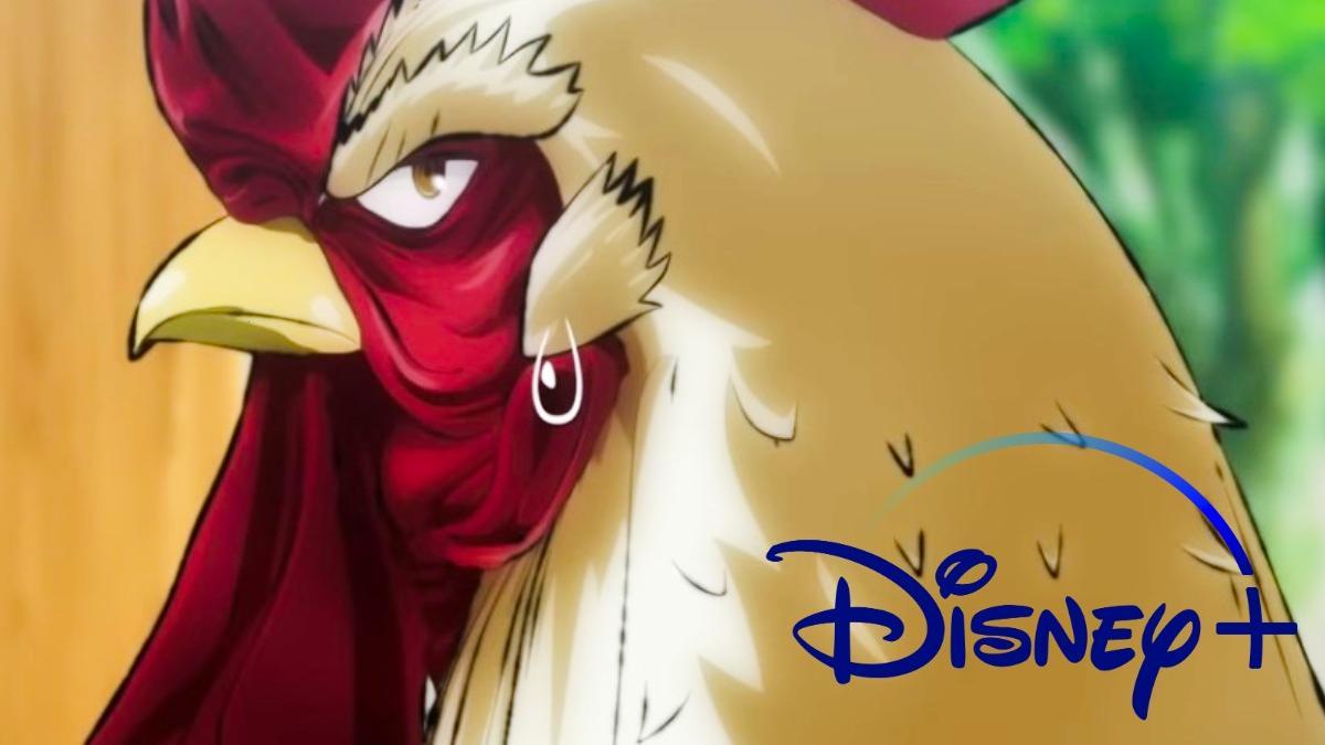 El fenómeno "Rooster Fighter": así un gallo conquistó el mundo del ...