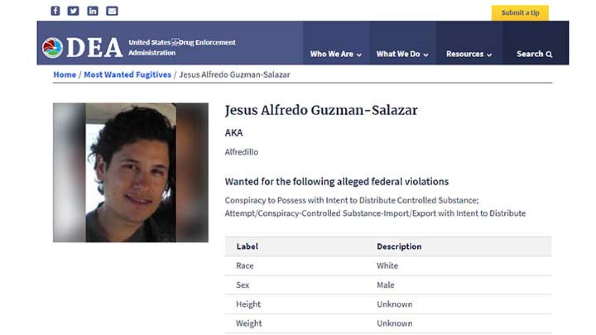 ‘Alfredillo’ Guzmán Salazar entre los 10 más buscados por la DEA