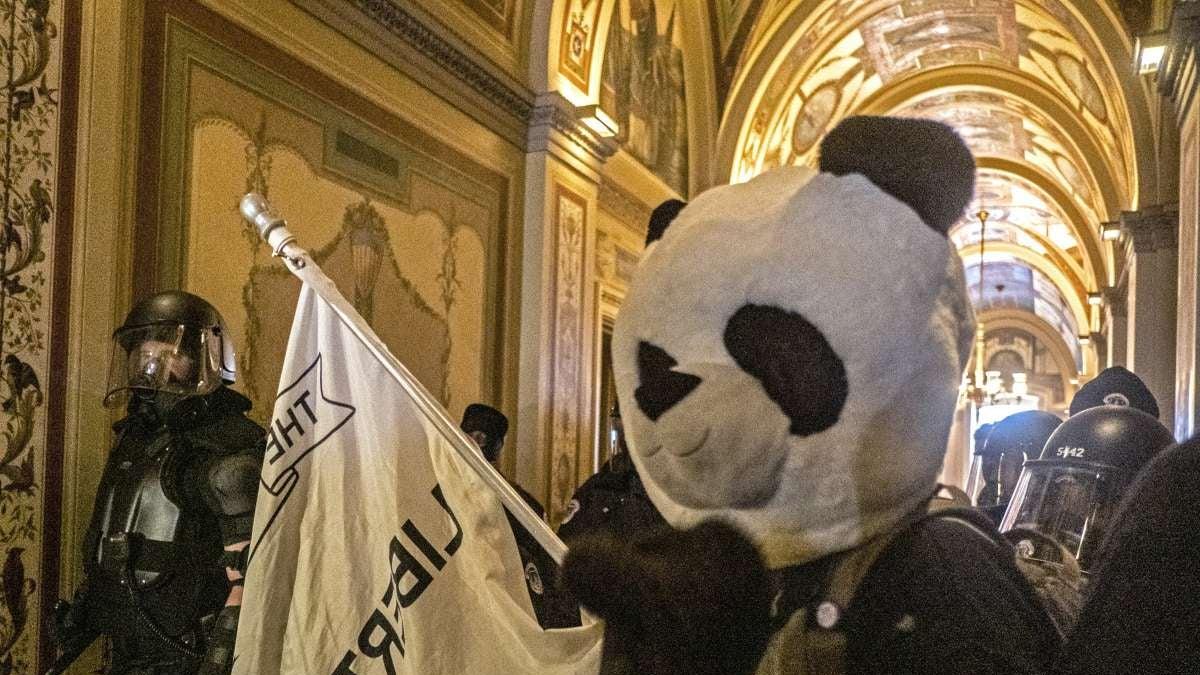 Detienen al 'Panda de la Sedición' tras haber participado en el asalto ...