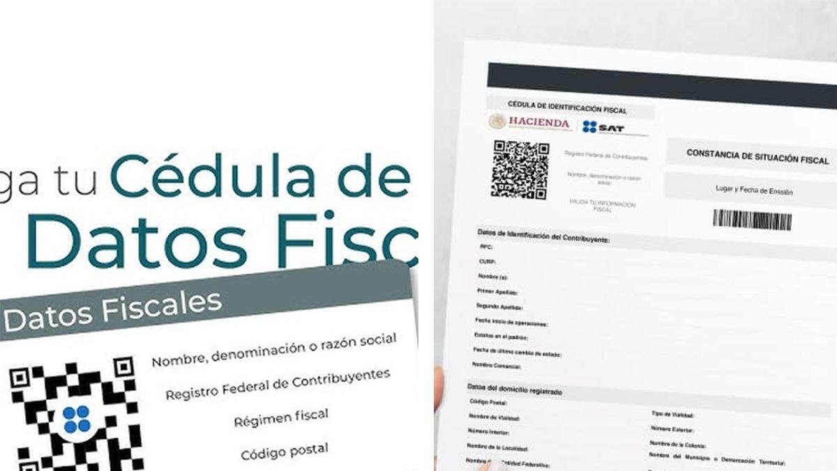 Diferencia entre Cédula de Datos Fiscales y Constancia de Situación ...