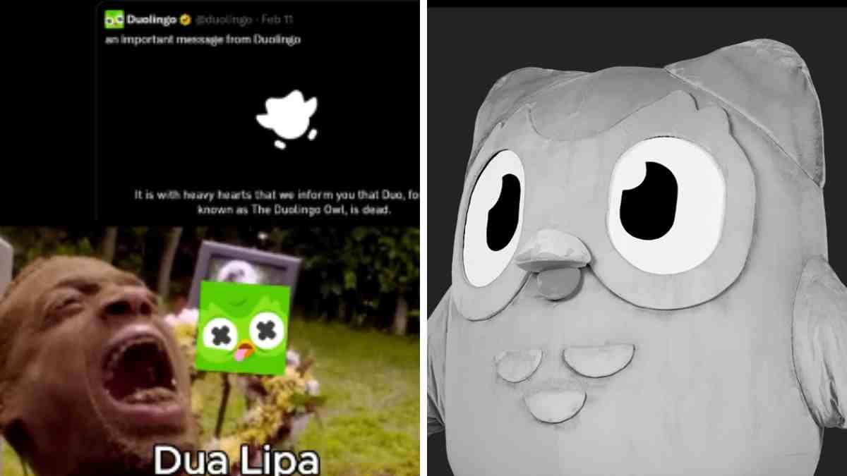 Memes de la “muerte” de Duo de Duolingo: así fue el adiós de los ...