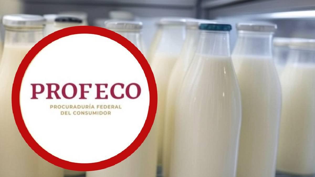¿Cuál es la mejor leche en México este 2025? La Profeco lo revela tras ...