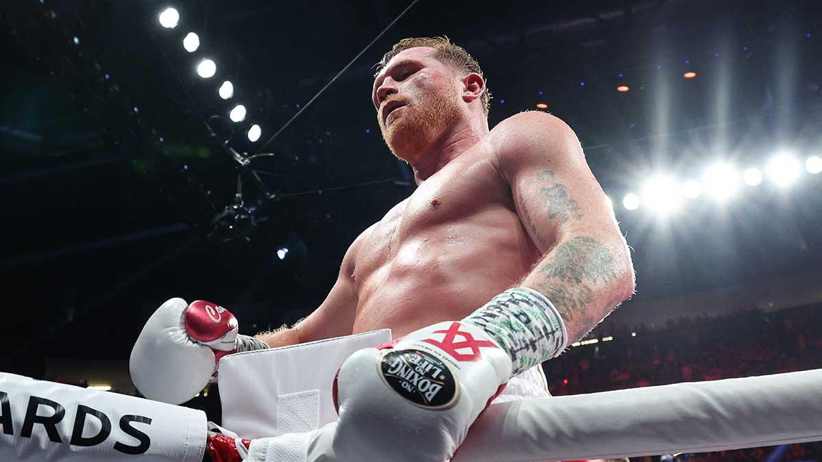 'Canelo' aún quiere la revancha