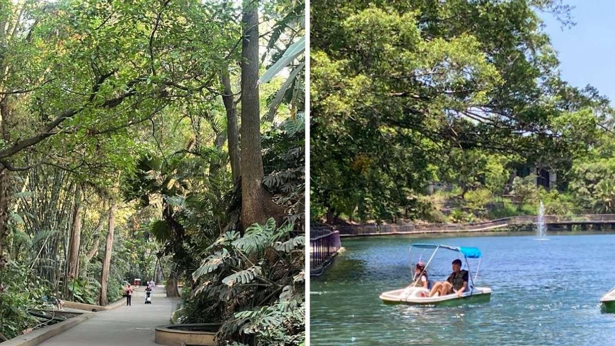 Conoce el Parque Chapultepec de Cuernavaca, una gran opción para las ...