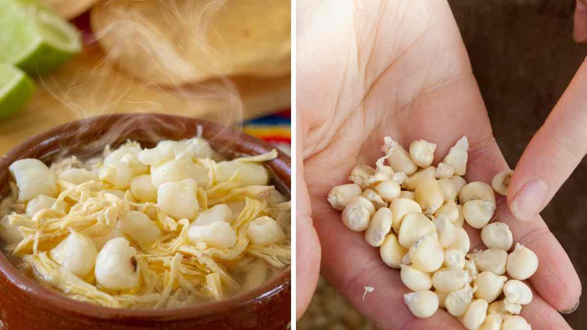 ¿Por qué el maíz cacahuazintle se usa para preparar pozole?