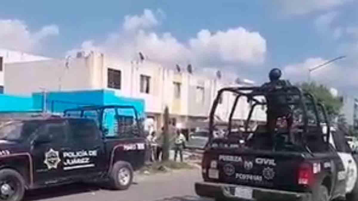 Rescatan a un león desnutrido dentro de una casa en Juárez, Nuevo León