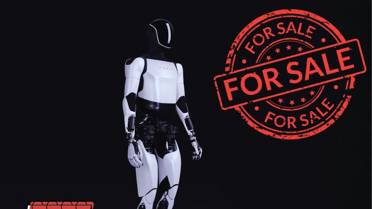 ¿Cuándo podrás comprar Optimus, el robot humanoide de Elon Musk, y ...
