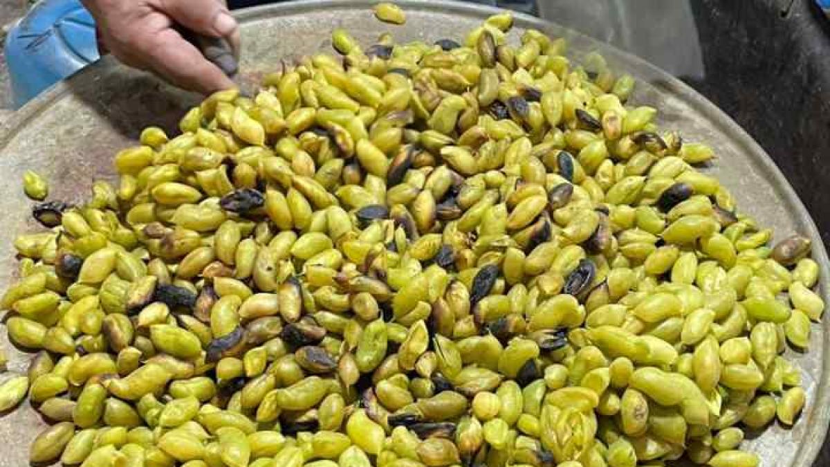 ¿Qué son las guasanas? Conoce cómo se consume el garbanzo fresco